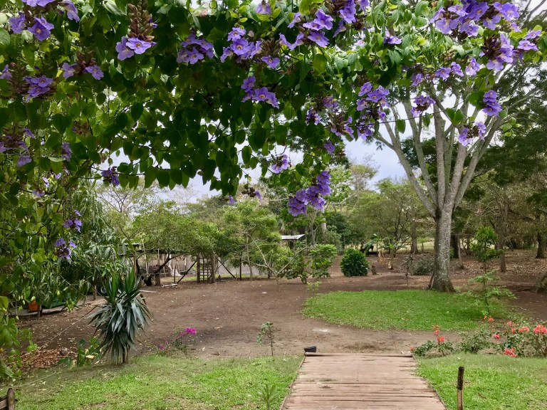 La Historia de Quinta Querit – penelope alves